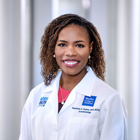 SCA 2024 Annual Meetings & Workshops